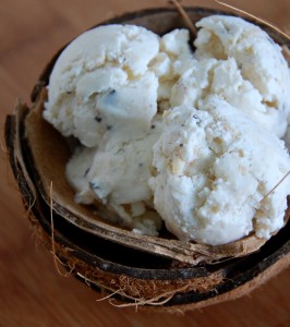 Easy Coconut and Chocolate Chip Ice Cream Recipe - STL Cooks