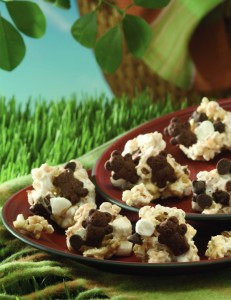 Popcorn Smores Recipe - STL Cooks